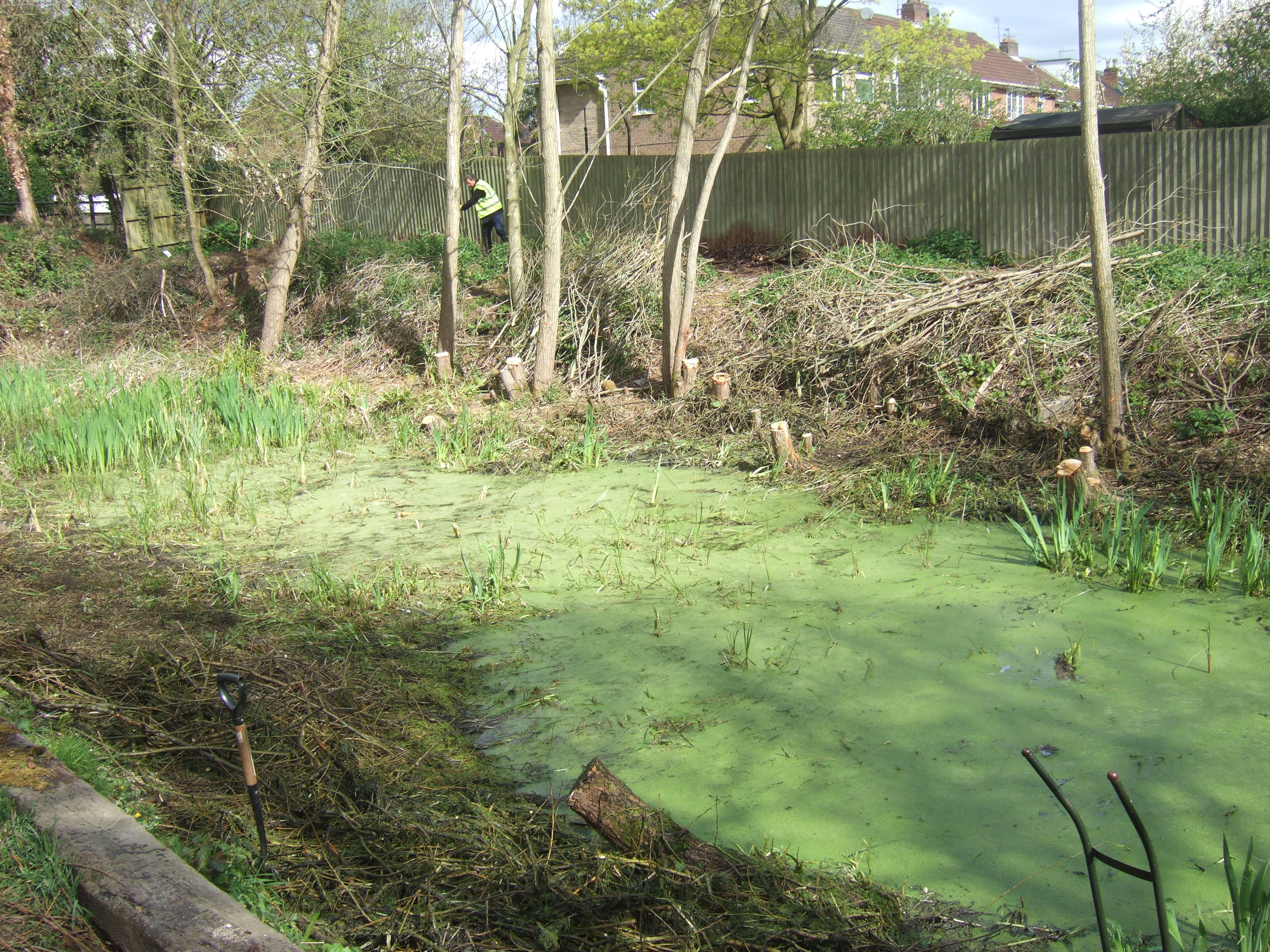 Borrowash Late April 2016 – Derby and Sandiacre Canal Trust